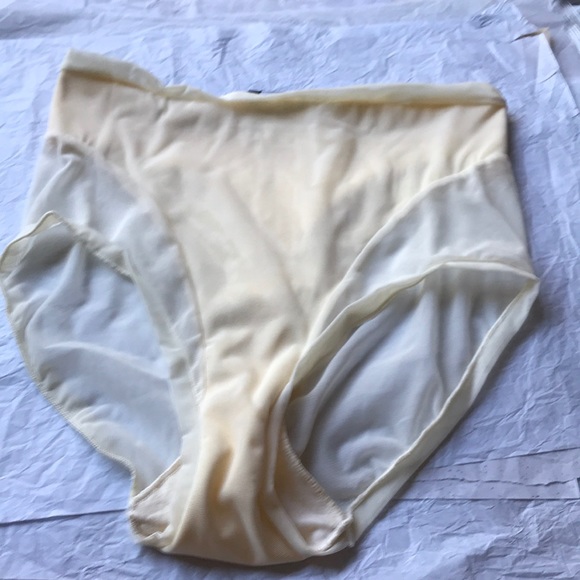 Nancy Ganz | Intimates & Sleepwear | Nwot Nancy Ganz Bodyslimmers Brief ...